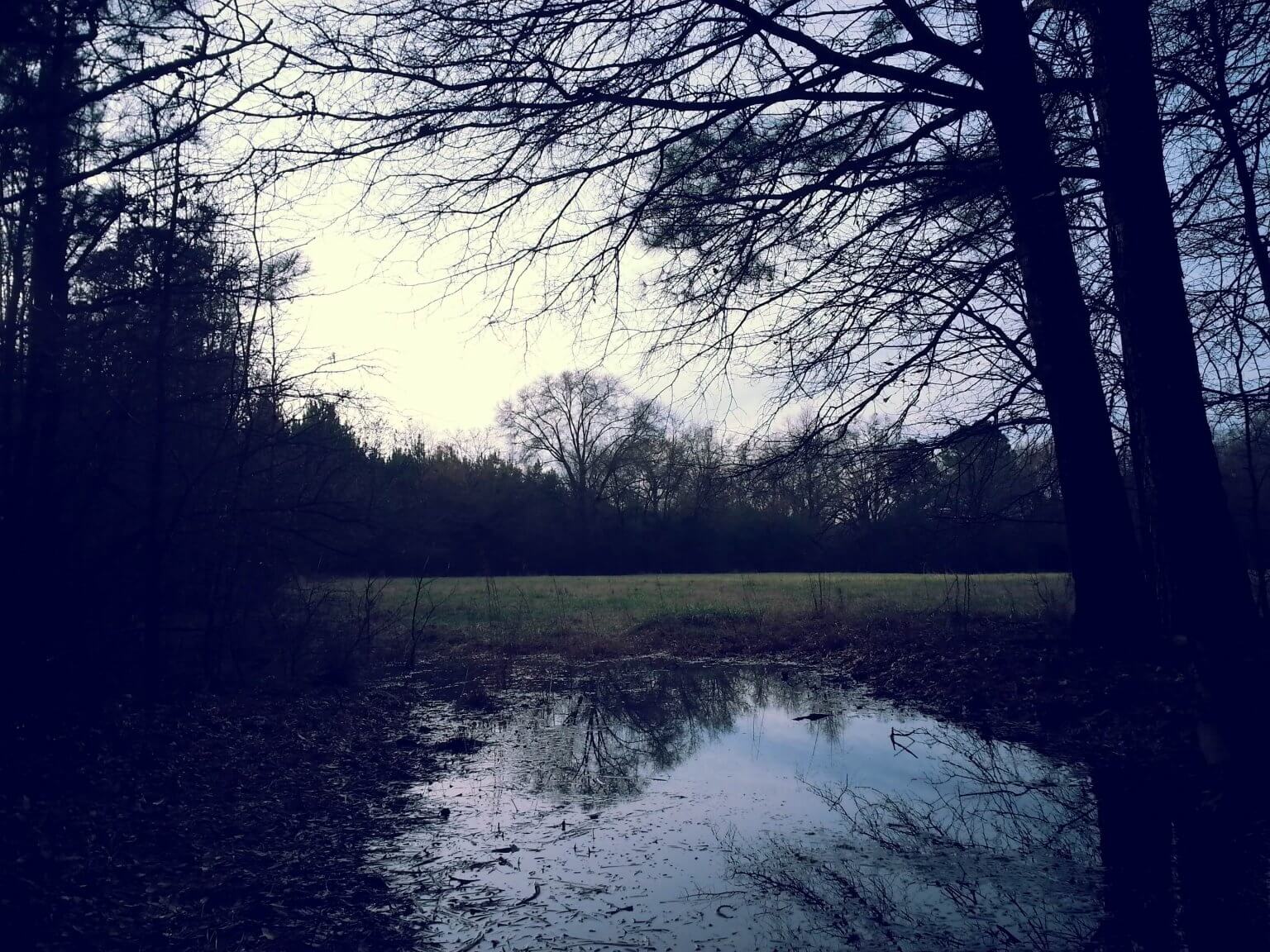 Photos | Rural Georgia Countryside