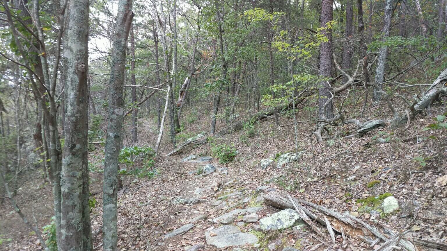 Hiking Cheaha Wilderness