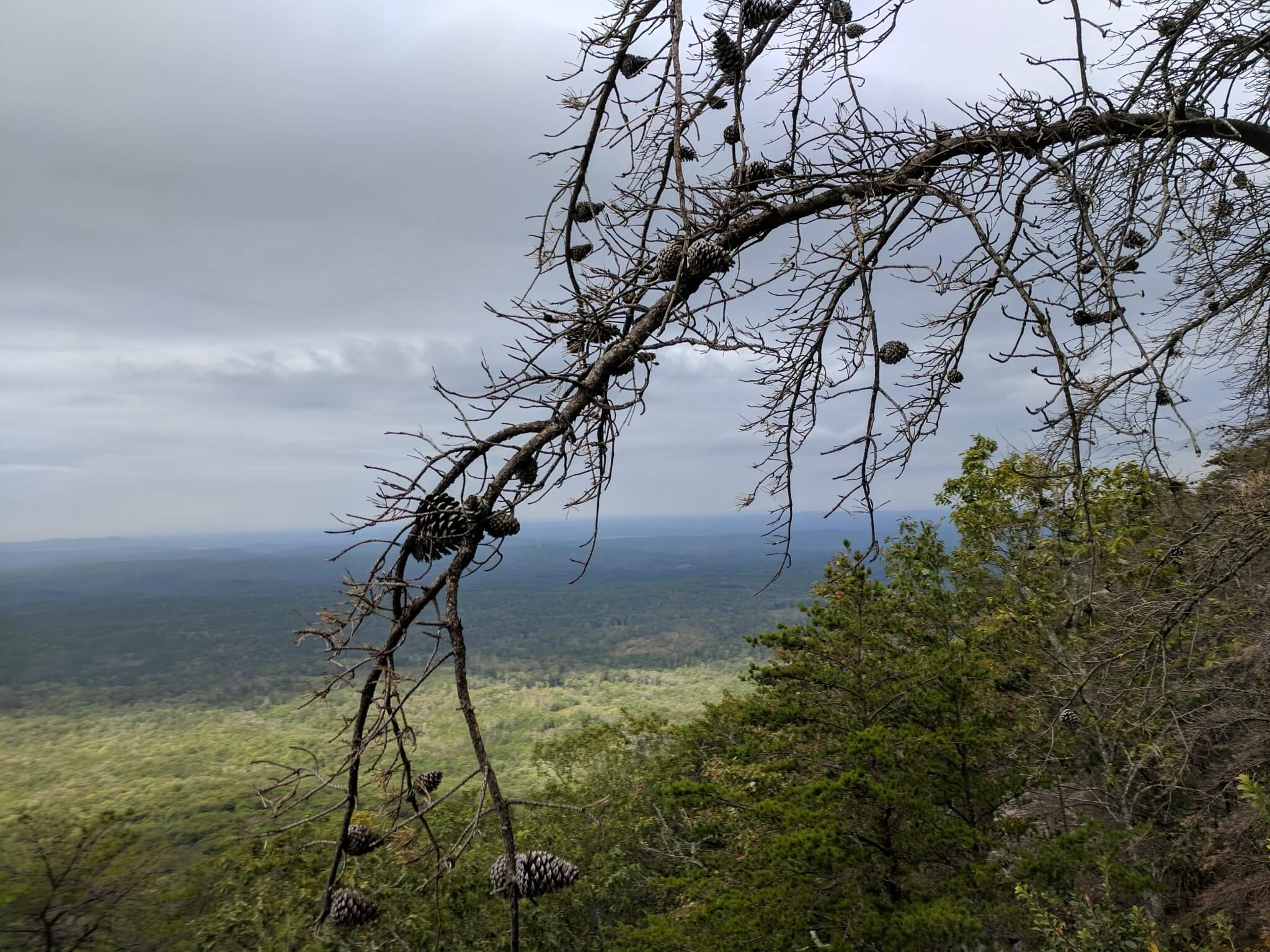 Hiking Cheaha Wilderness – Nate Shivar
