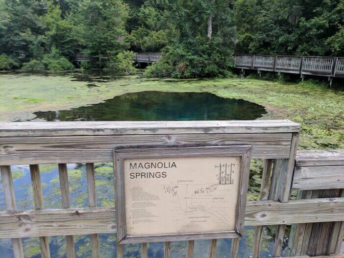 5 Notes on Visiting Magnolia Springs State Park