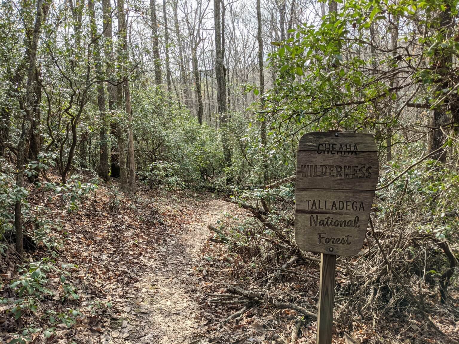 Hiking Nubbin Creek / Pinhoti Trail in Cheaha Wilderness
